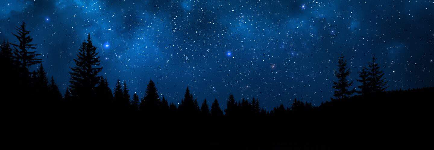 Dignity Project - Cardinal Institute